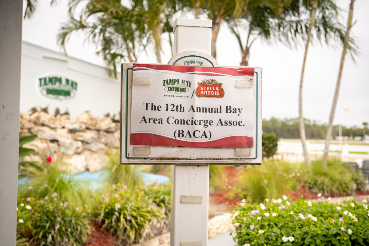 Tampa Bay Downs 2026 - Bay Area Concierge Association