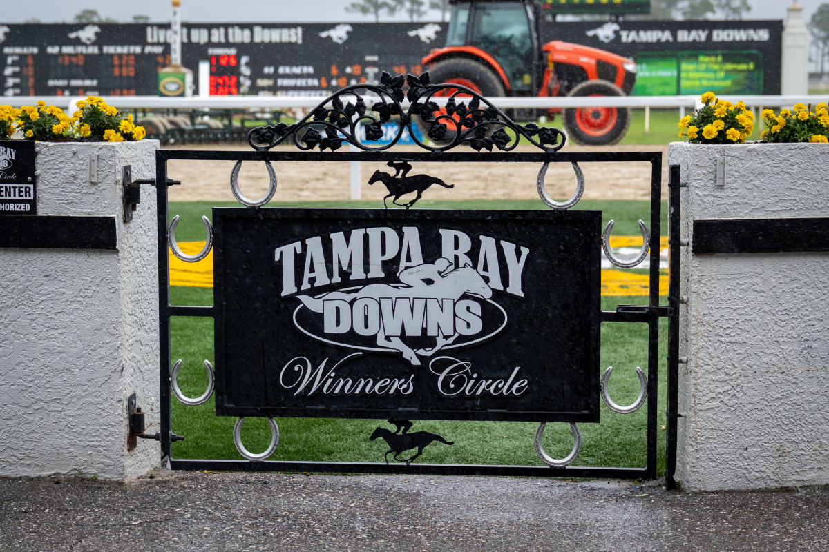 Tampa Bay Downs 2026 - Bay Area Concierge Association
